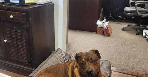 My Helper Album On Imgur