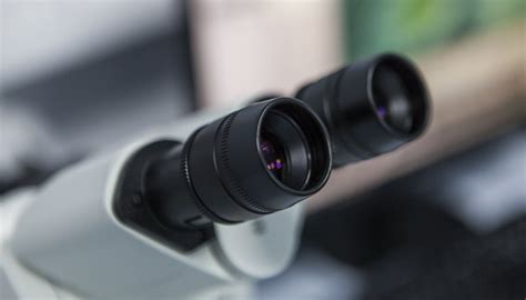 How To Calculate The Field Of View In A Microscope Sciencing