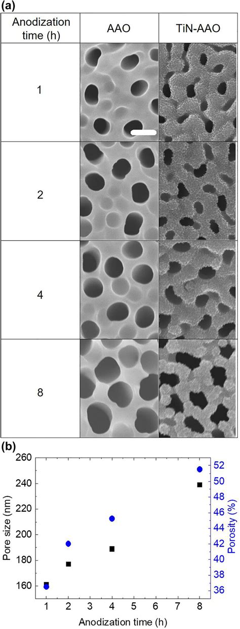 Figure S1 Aao And Tin Aao Morphology For Pore Widening 2 H Samples Download Scientific