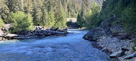 Cheakamus River Trail British Columbia Canada 86 Reviews Map