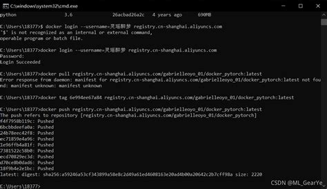 Win10下 Docker 配置python Pytorch深度学习环境win10 Python Dockermlgearye的博客 Csdn博客