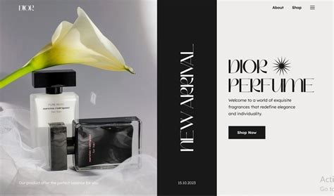 Muhammad Ibrahim 🇵🇸 On Linkedin 30daychallenge Webdevelopment Landingpagedesign Dailygrind