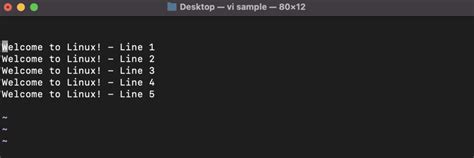 Delete Selected Text In The Vi Editor Baeldung On Linux