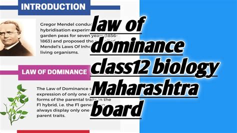 Law Of Dominance Class12 Mendel First Law Law Of Dominance Ashwiin Rathod Youtube