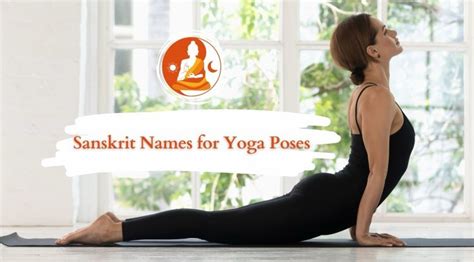 Sanskrit Yoga Pose Names Explained Learn Popular Asanas