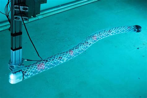 A Modular System Helps Produce Efficient Scalable Underwater Robots