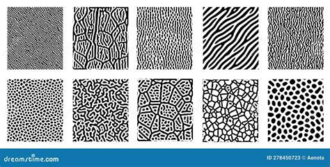 Vector Reaction Diffusion Set Mathematical Biology Turing Patterns Complex Biological Shapes