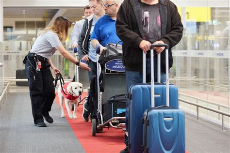 Fmd Biosecurity Response Zone Extended To June 2023 Daff I Australian Rural And Regional News