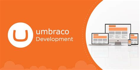 Using The Features And Flexibility Options Of Umbraco Cms Platform We
