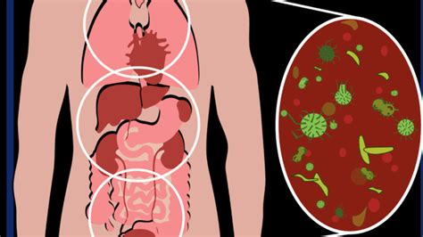 My 2 Step Size System For Men Daily Medical Discoveries