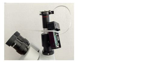 Microscope Picam An Open Source Raspberry Pi Microscope