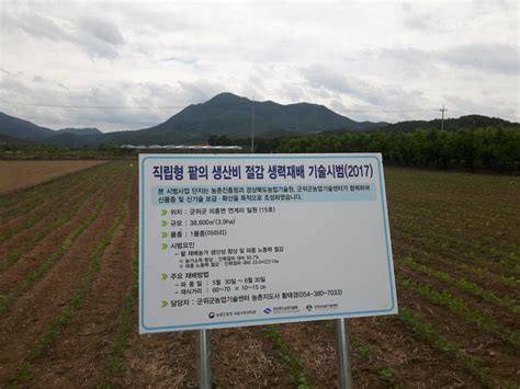 팥 재배방법 심는시기 수확 팥 효능 네이버 블로그