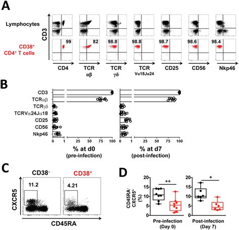 Cd38 Cd4 T Cells Are A Subset Of Conventional Tcr Cd4 T Download Scientific Diagram