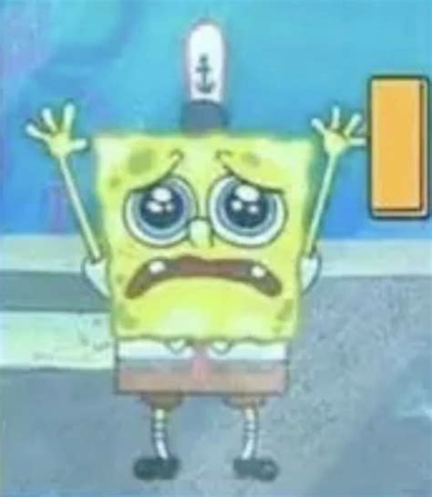 Spongebob Pfp Spongebob Funny Pictures Spongebob Pics Spongebob Funny