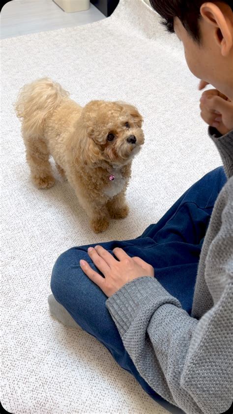 원샷한솔 안녕하세요 한솔입니다😀 원샷한솔 채널이 드디어 구독자 100만 명이 되었습니다 와아아아🥳🥳 여러분 덕분에 우리나라 최초 시각장애인 100만 유튜버가 될 수