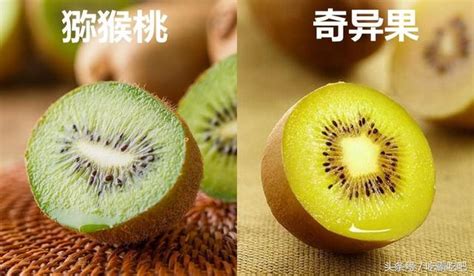 奇异果是不是猕猴桃 奇异果和猕猴桃 猕猴桃跟奇异果图片 第5页 大山谷图库