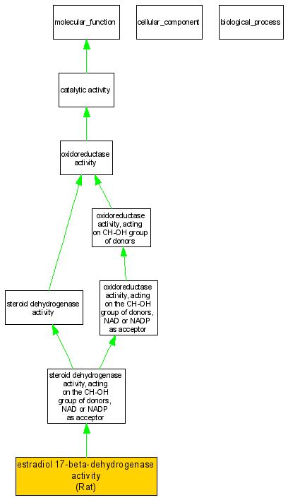 Pseudohermaphroditism