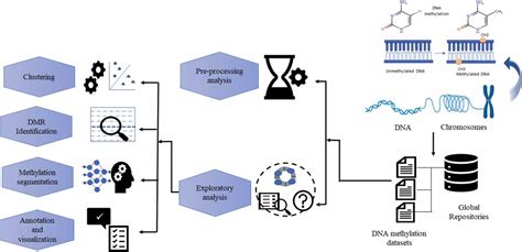 Methods In Dna Methylation Array Dataset Analysis A Review