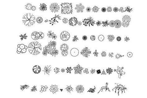 Tree Cad PNG Transparent Images Free Download Vector Files Pngtree