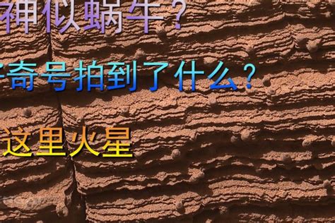 神似蜗牛，好奇号拍到了什么，这里是火星凤凰网视频凤凰网