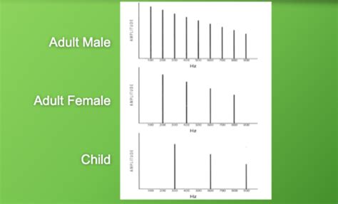 Acoustic Theory Of Vowel Production And Vowel Resonance Flashcards