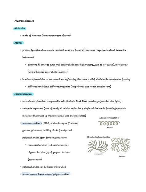 Macromolecules Dna Is Double Stranded Rna Is Single Stranded ‣ Liner Polymers Of Nucleotides