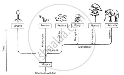 With The Help Of Flow Chart Depict Five Kingdoms Classification Science