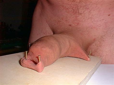 Nailing My Cock To Board Pics XHamster