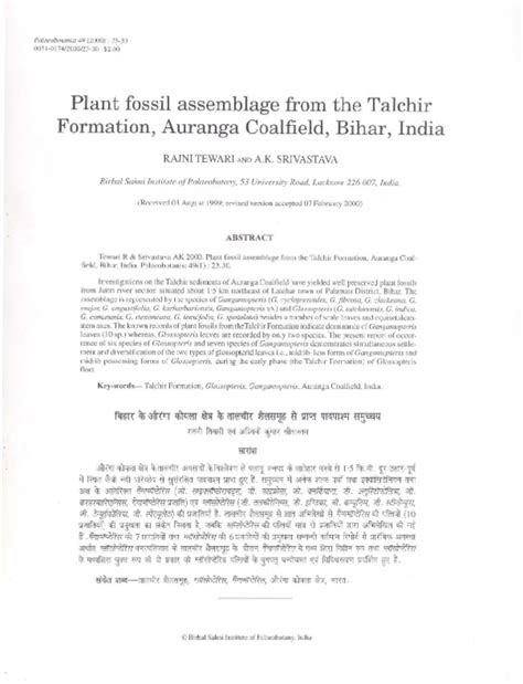 Pdf Plant Fossil Assemblage From The Talchir Formation Auranga