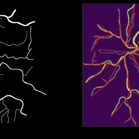 Border Computation Process Of A Vascular Network A Vascular Network
