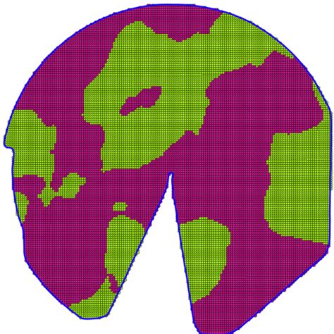 View Of Taxonomy Terms That Are Used Giving Duplicates Even With