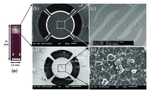 A Fabricated Device B Sem Image Of The Suspended Microhotplate