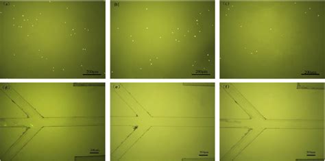 A C Are The Particle Adhesion Situation Of The Surface Without Download Scientific Diagram