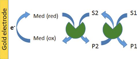 Redox Reactions At The Surface Of The Electrode Download Scientific Diagram