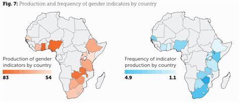 Brochure Bridging Gender Data Gaps In Africa Open Data Watch