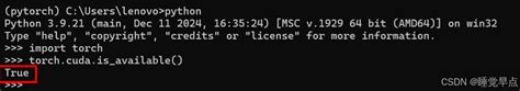gpu版本） pytorch安装教程 pytorch版本 csdn博客