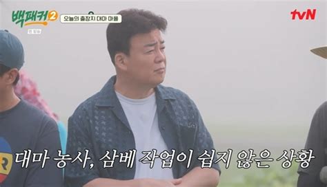 백종원 대마 마을 전통 한식 의뢰 받아 대마 잎 조심해야” 백패커2