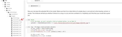 Issue In 01intro Colab Page 2 Part 1 2020 Fastai Course Forums