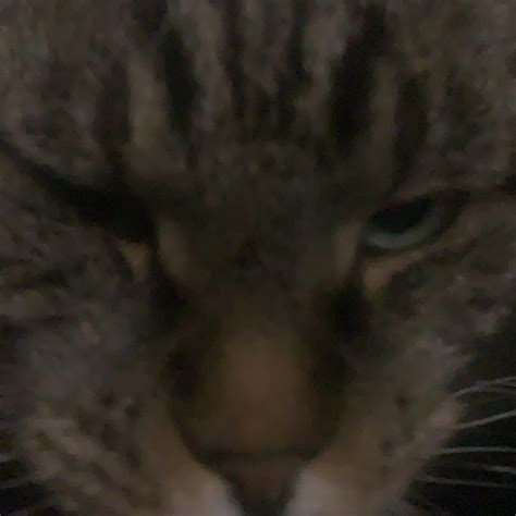 Pgt Dani Pgt Dani • Instagram Photos And Videos