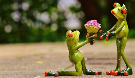 Proposing Talks Codefx Weekly 38 — 6th Of September By Nicolai Parlog Nipafx News Medium