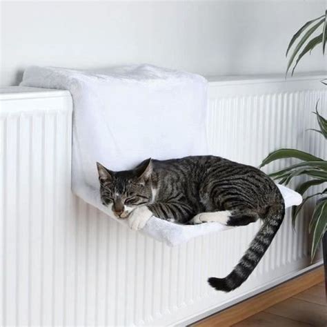 Hamac Pour Chat Les Bons Plans De Micromonde