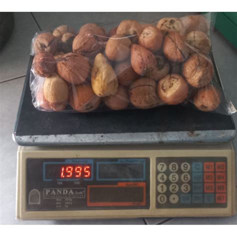 Jual Biji Alpukat Kupas 50 Biji Shopee Indonesia