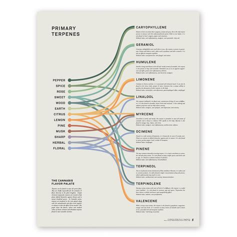 Terpene Chart
