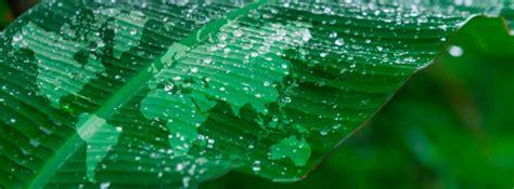 What Can Rfid Laundry Tracking Do For You Tex Bit