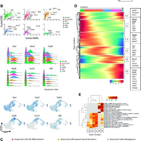 publicly available mouse scrna seq datasets re analyzed and integrated