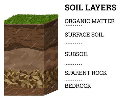 Premium Vector Soil Layers Surface Horizons Upper Layer Of Earth