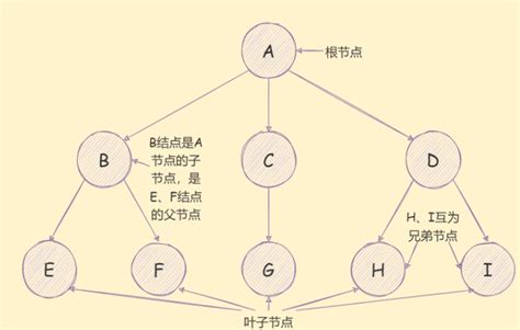 JavaScript树结构深度优先算法实例分析 开发技术 亿速云