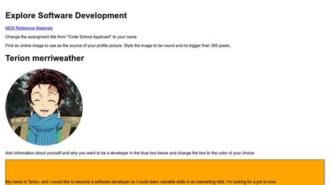 Explore Software Development