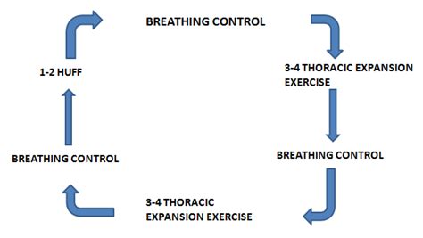 Active Cycle Of Breathing Technique Acbt Mobility Physio