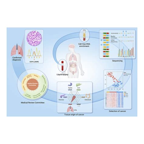 Circulating Cell Free Dna For Cancer Early Detection The Innovation